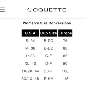 Coquette | Intimates & Sleepwear | Coquette New Romantic Vintage Red ...